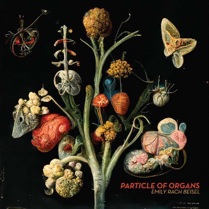 Particle Of Organs | Emily Rach Beisel