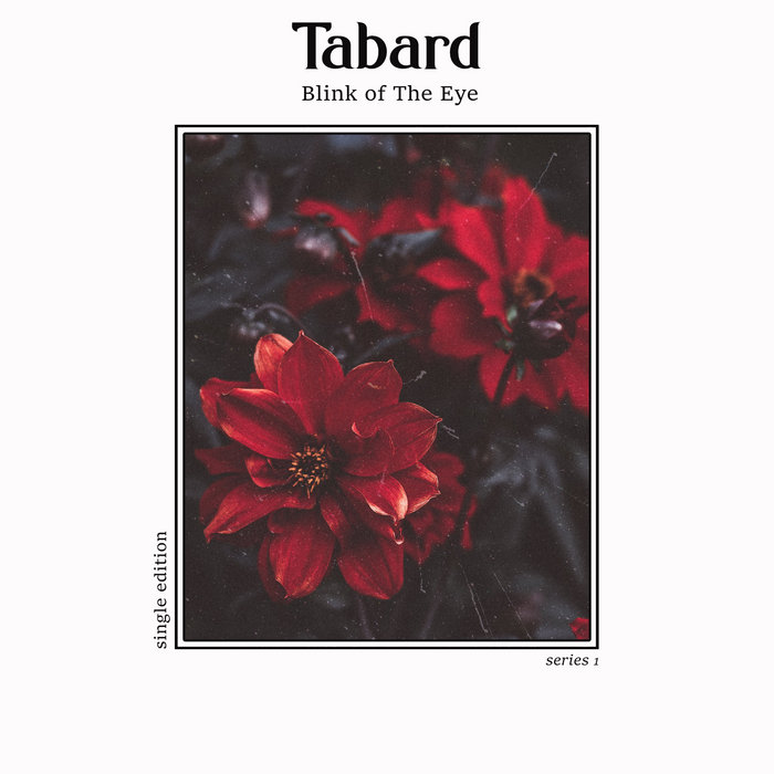 Tabard Series 1 - Blink of The Eye | Fat Bard