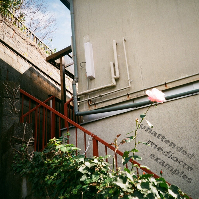 unattended mediocre examples | mippopotamus