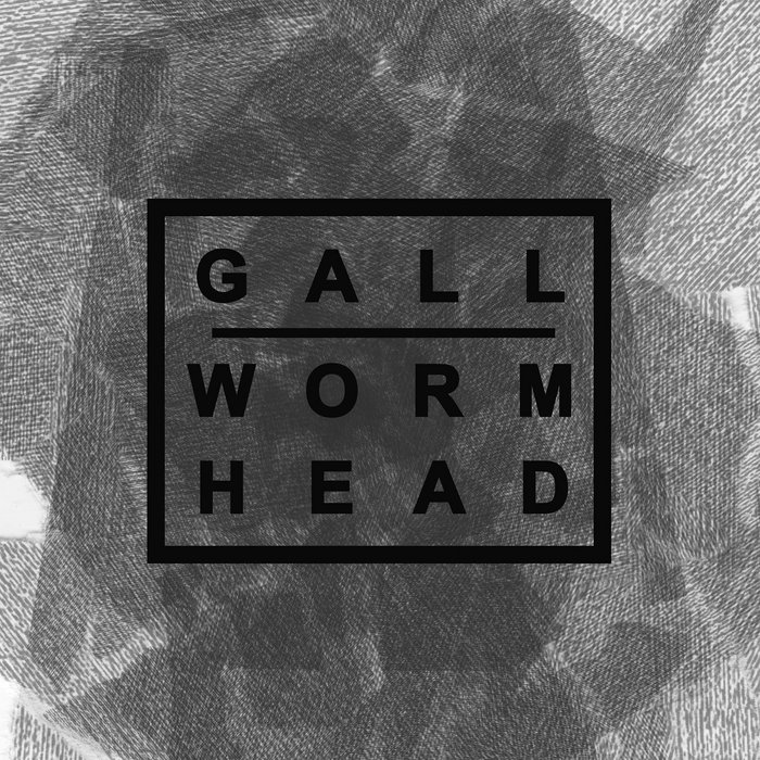 GALL / WORMHEAD - Split (PR #143) | Puzzle Records
