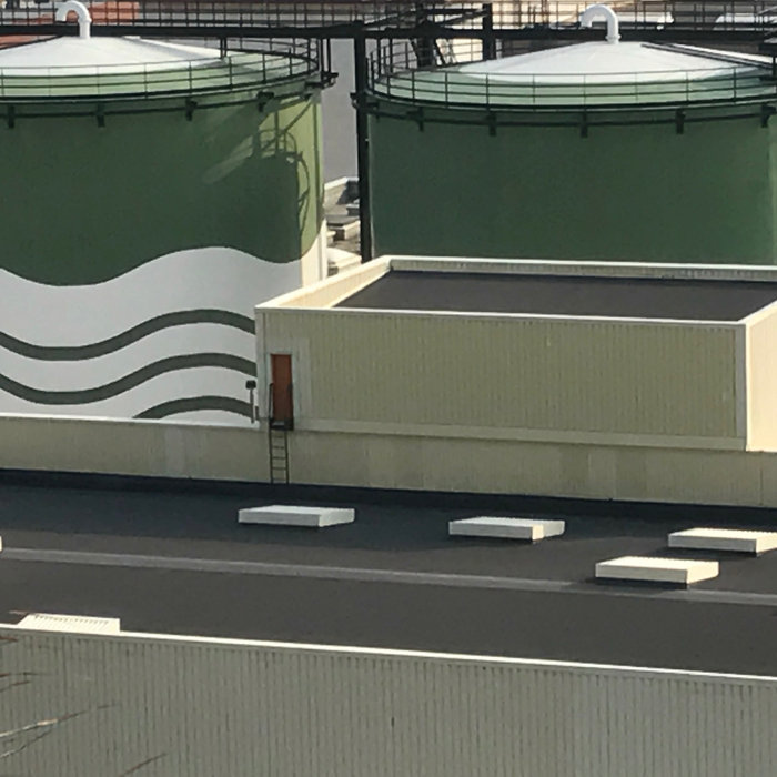 Neutrino | Weihao Li