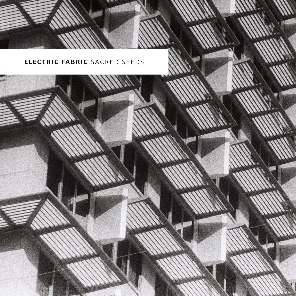 Sacred Seeds - Electric Fabric ( Cyclical Dreams ) | Sacred Seeds
