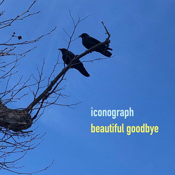 beautiful goodbye | iconograph