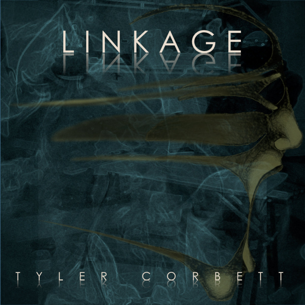Linkage | Tyler Corbett
