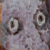 Oooooooooooooooooooooooooooo