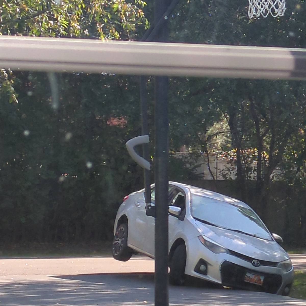 blue meringue | Summer 2000