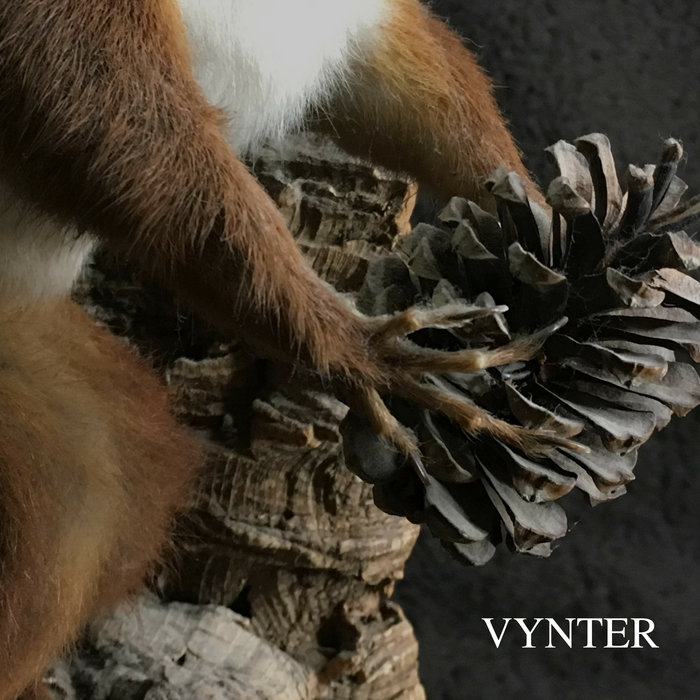 VYNTER EP | VYNTER