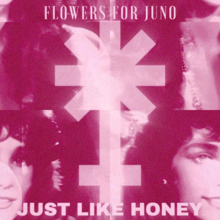 Just Like Honey | Flowers for Juno