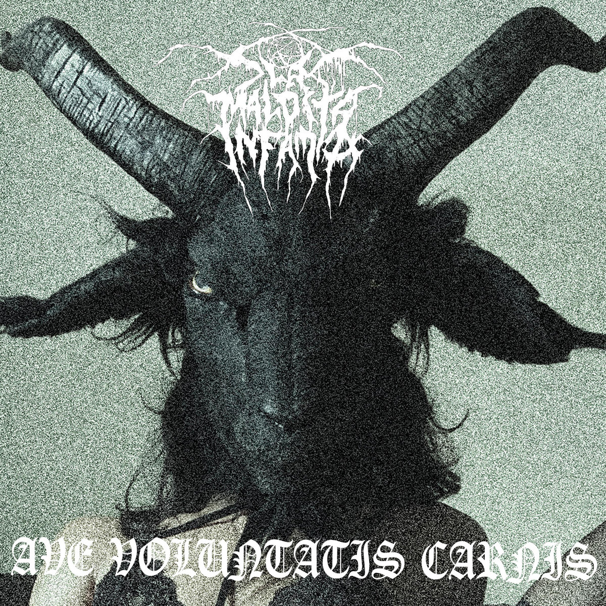 Ave Voluptatis Carnis | La Maldita Infamia