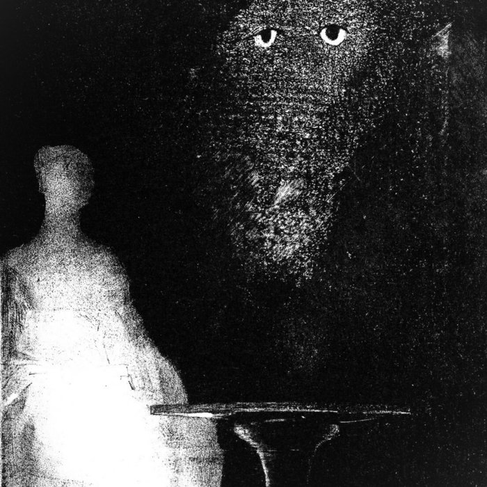 WATCHING FROM THE SHADOWS | ANDSACA