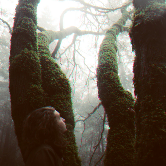 Running Through the Forest | CharlestheFirst