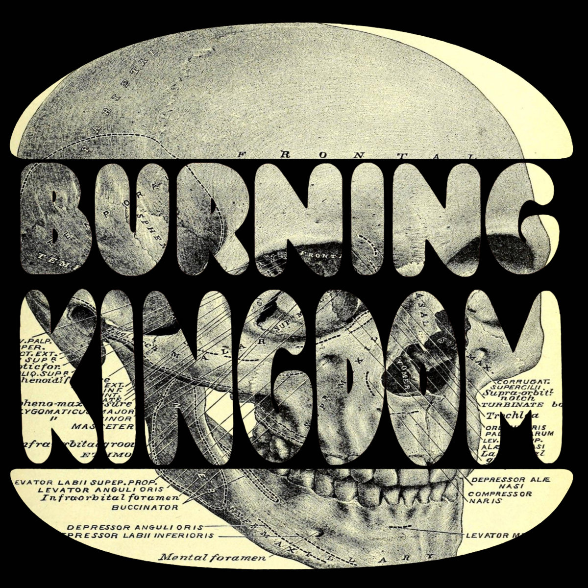Your Brain Eating Amoeba | Burning Kingdom