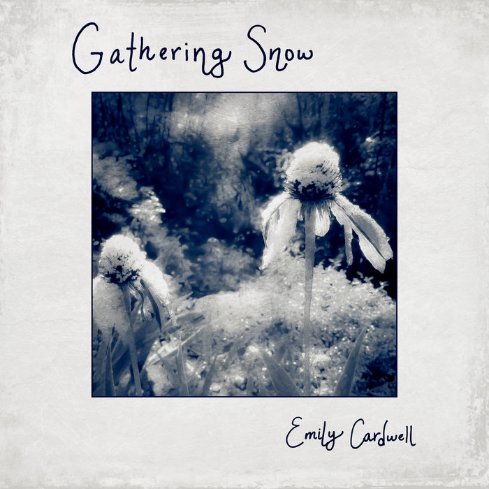 Gathering Snow | Emily Cardwell