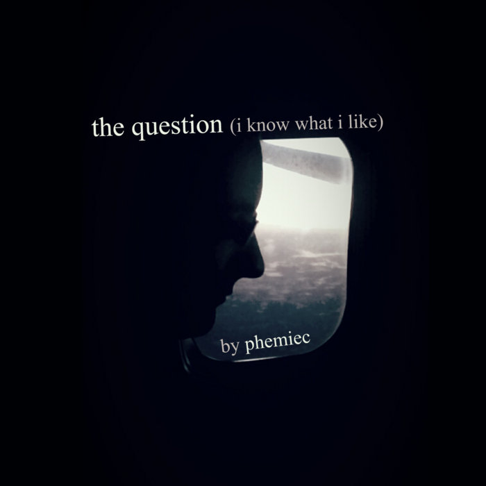 The Question (I Know What I Like) | PhemieC
