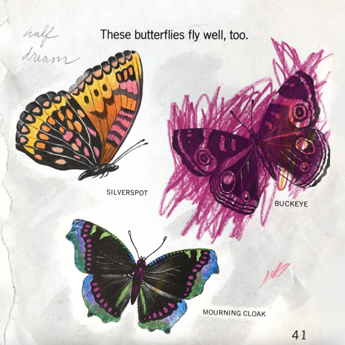 Fly | Half Dream