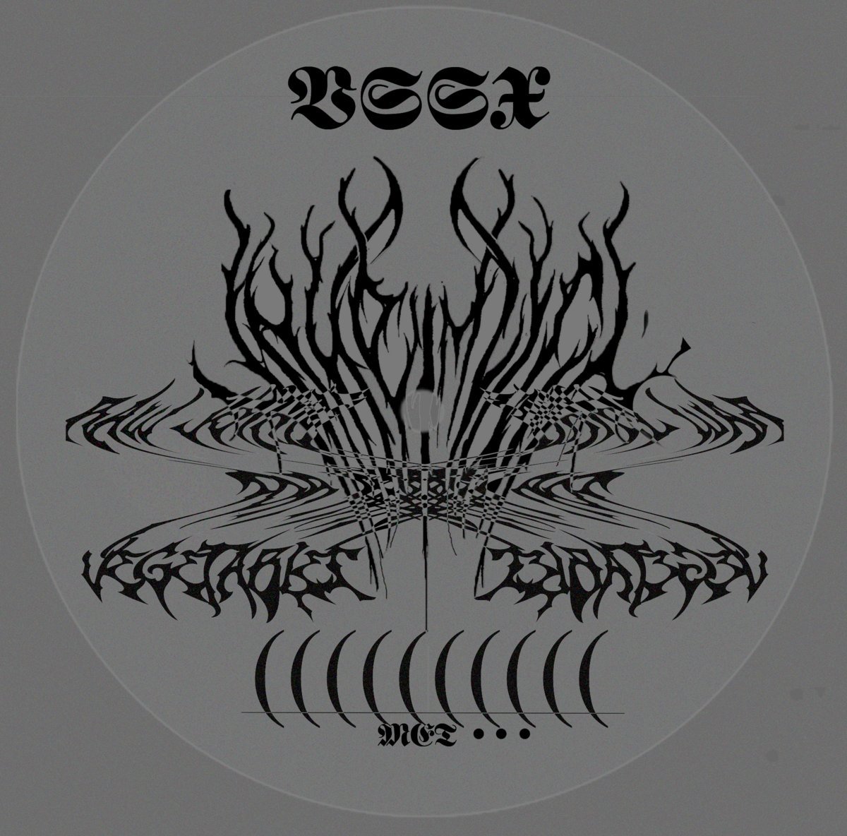 23'51'' GLITCHY ACID TRACKS | VSSX | svx.