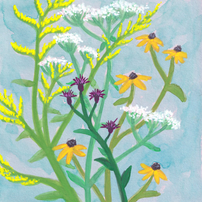 Autumn Flowers | What Do You Know About The Universe?