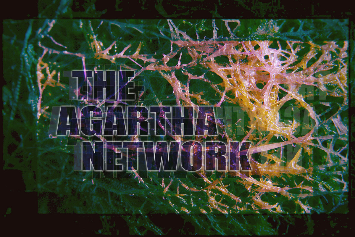 Save the Worms EP | TheAgarthaNetwork