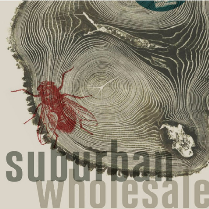 Hurricane | Todd Bartlett