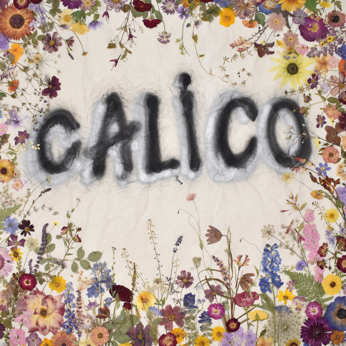 the Calico EP | The Gloamings