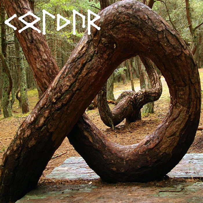 The Dancing Forest | Koltur