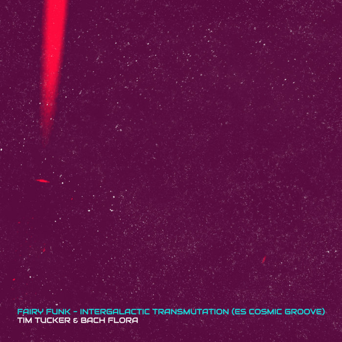 Fairy Funk - Intergalactic Transmutation (E's Cosmic Groove ) | Tim Tucker & BachFlora | Tim Tucker
