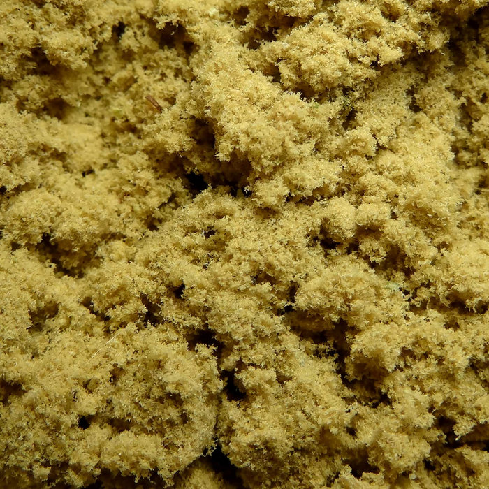 A.C.U. Volume 18: Hash Puck | Aaiesieux