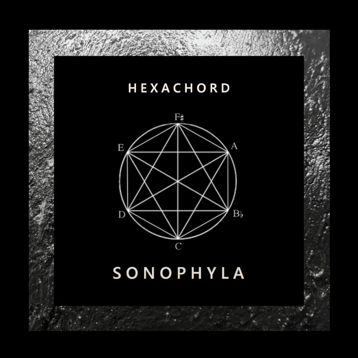 Hexachord | Sonophyla