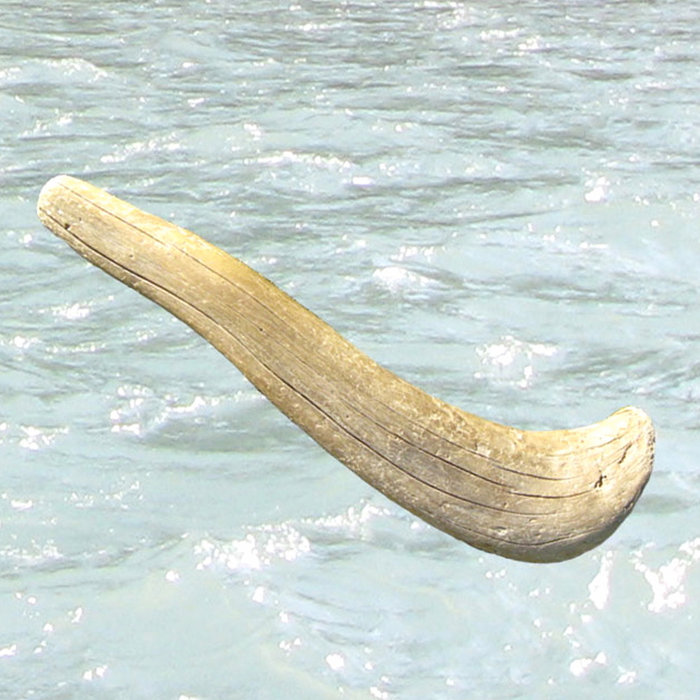 THE SWOOP | PLANET OF THE SWOOP