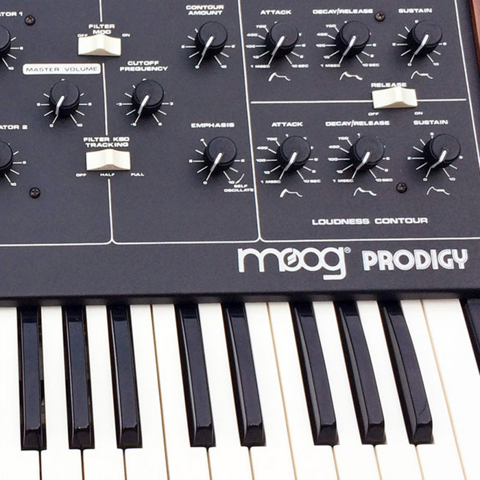 MOOG PRODIGY VOL. 2 | Vintage Synth Samples