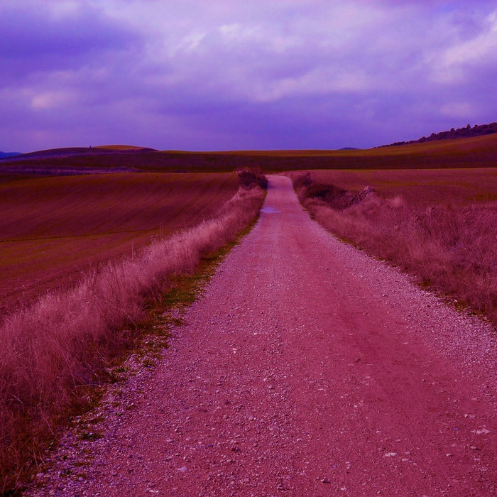 NBTB | Kate Campbell Strauss