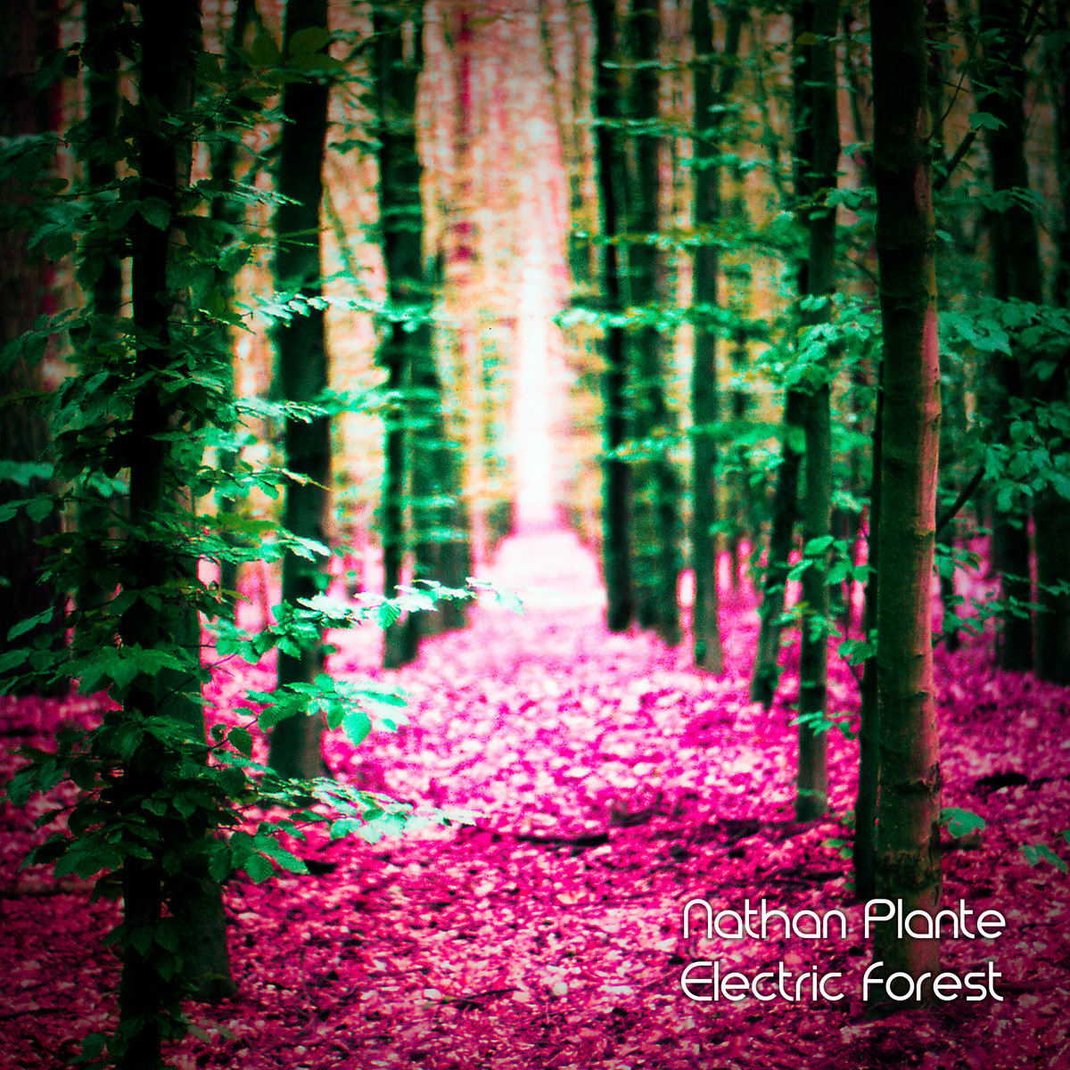 Electric Forest | Nathan Plante