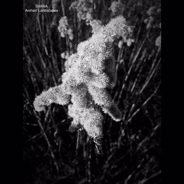 Archaic Landscapes | Archypness