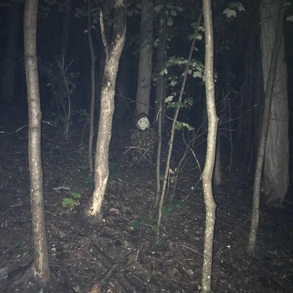 c a m o u f l a g e | trash bae