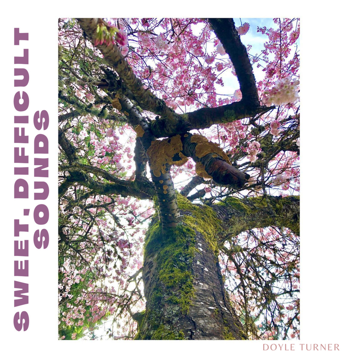 Sweet, Difficult Sounds | Doyle Turner