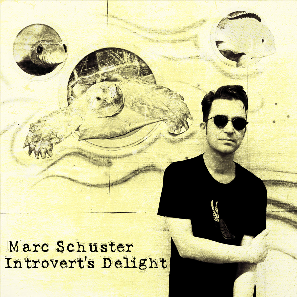 Introvert's Delight | Marc Schuster