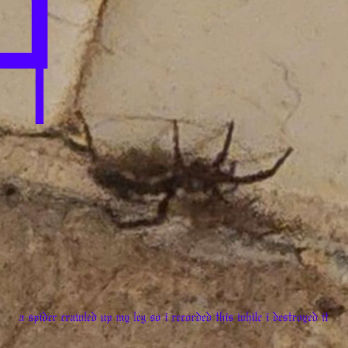 a spider crawled up my leg so i recorded this while i destroyed it ...