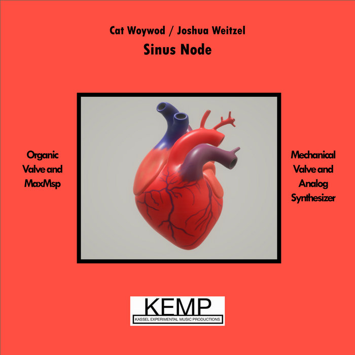 Sinus Node | Cat Woywod / Joshua Weitzel | Kassel Experimental Music ...