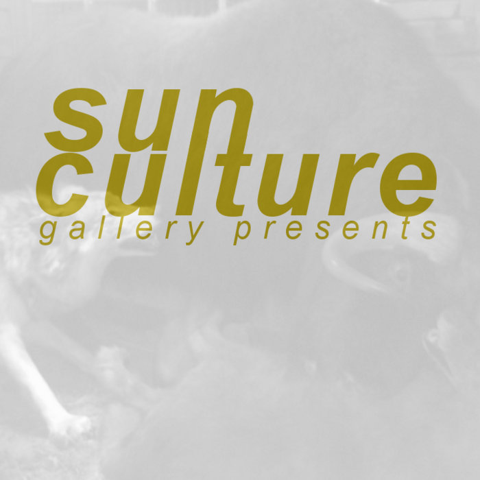 Gallery Presents | Sun Culture