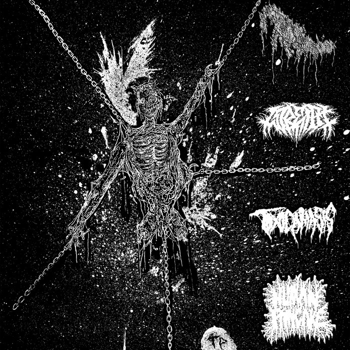 SPLIT WITH MASSIVE GORE BULGE, LORELAI, AND TOXOCARIASIS | Human Pancake