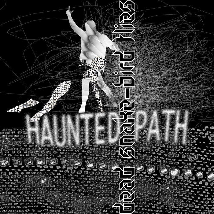 Haunted Path | Dead Snake-Bird Flies