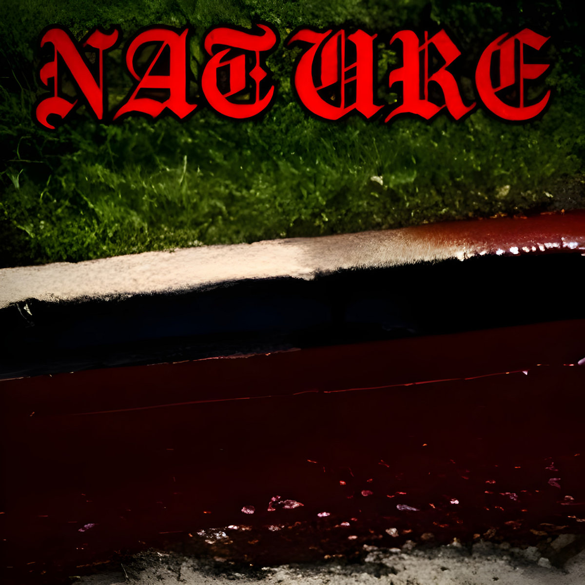 NATURE EP | Virtual Bird