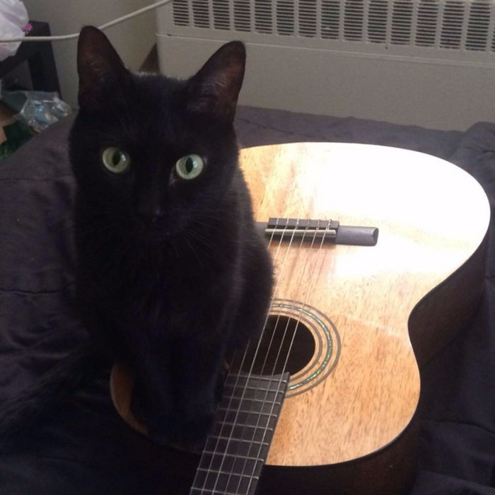 Song Per Month | Gator Punch