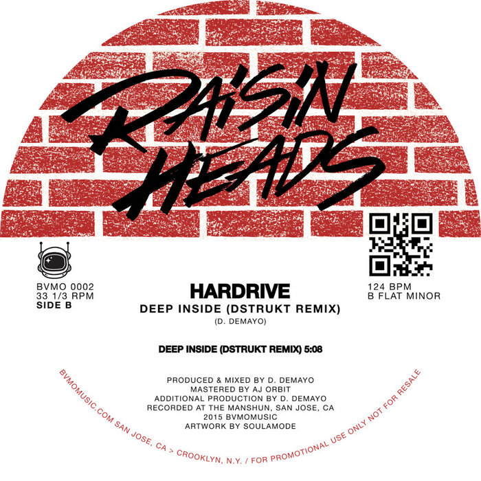Strictly Raisin' | DSTRUKT | Raisin Heads Records