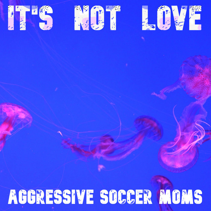 It's Not Love | Aggressive Soccer Moms