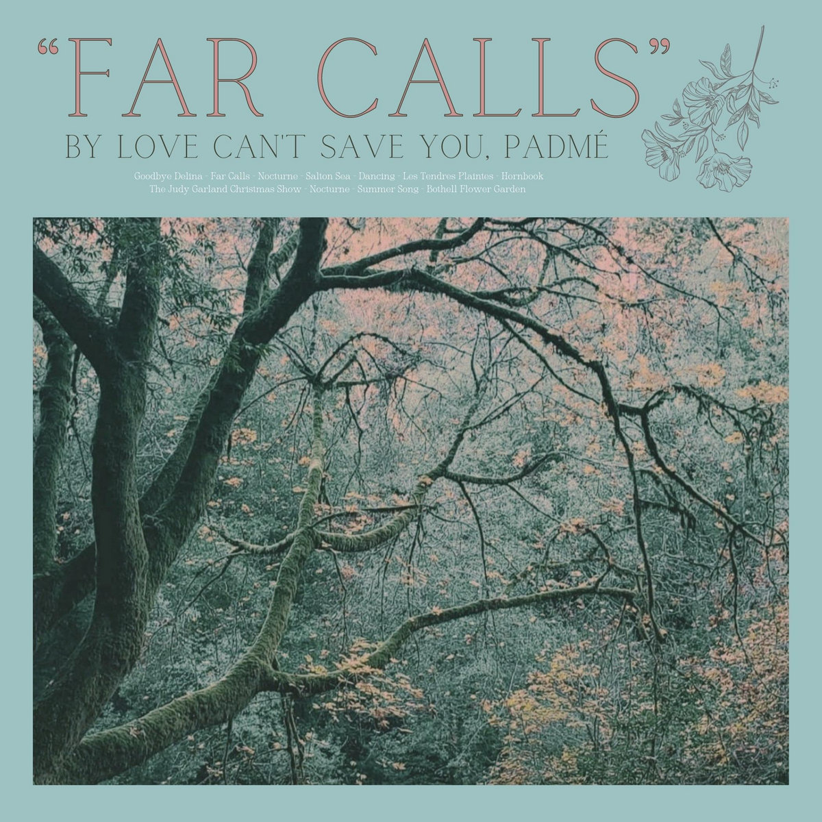 Far Calls | Love Can't Save You, Padmé
