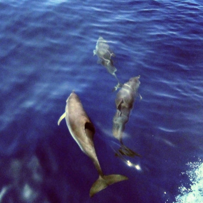 Moove 2 Groove 1993 - Répet face A et B | Stan groove us