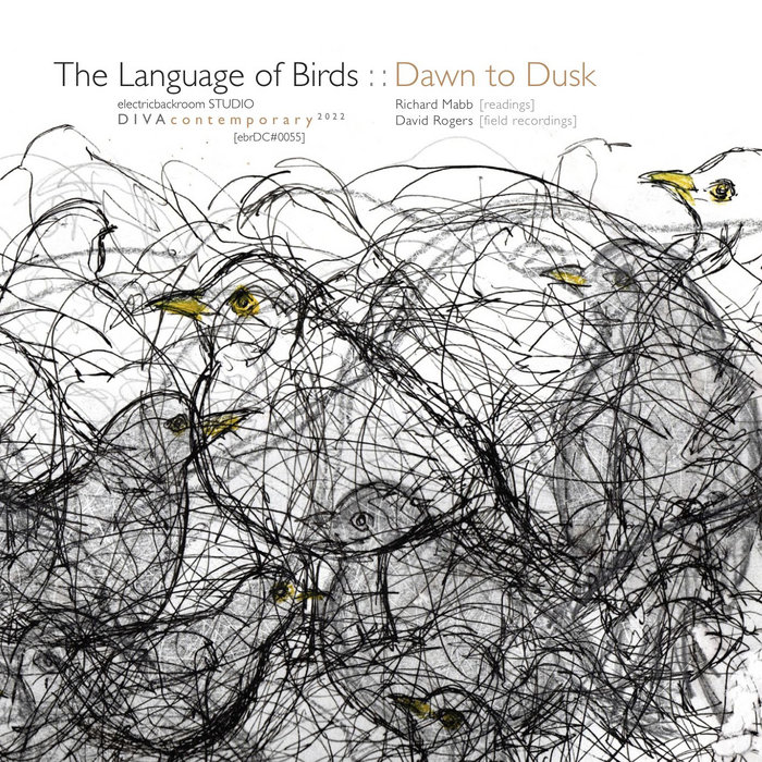 The Language of Birds : : Dawn to Dusk | Richard Mabb & David Rogers ...