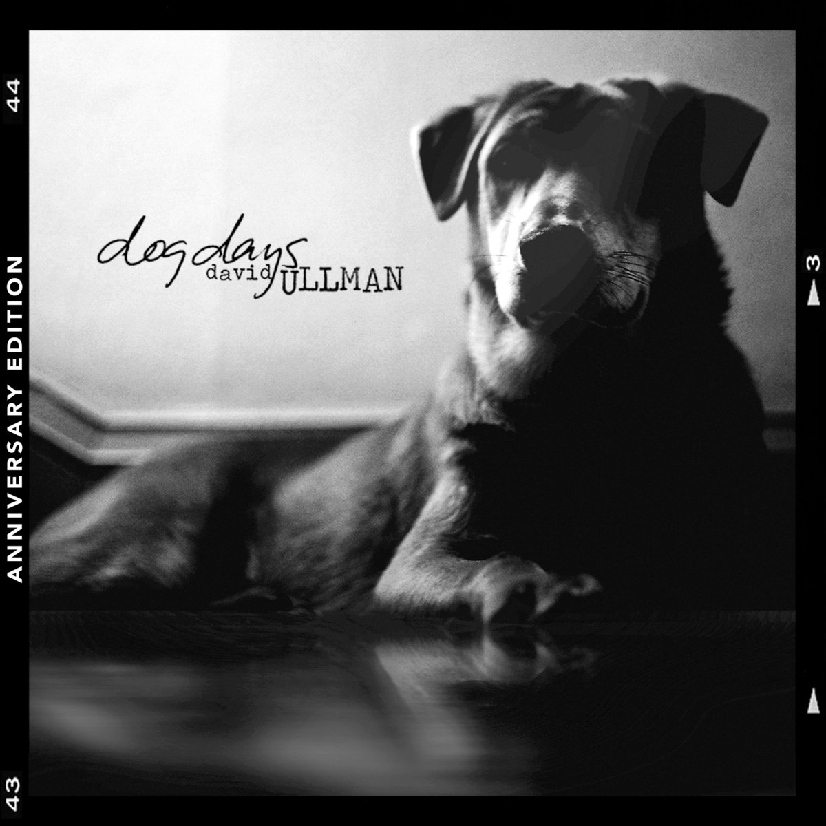 Mulletman (Bonus Track) | David Ullman | Dreaming Out Loud Records