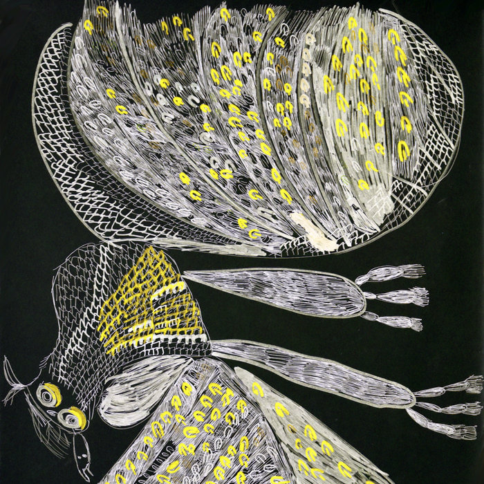 Vin de Charleroi / MIMA | Vin de Sprite | Créahmbxl